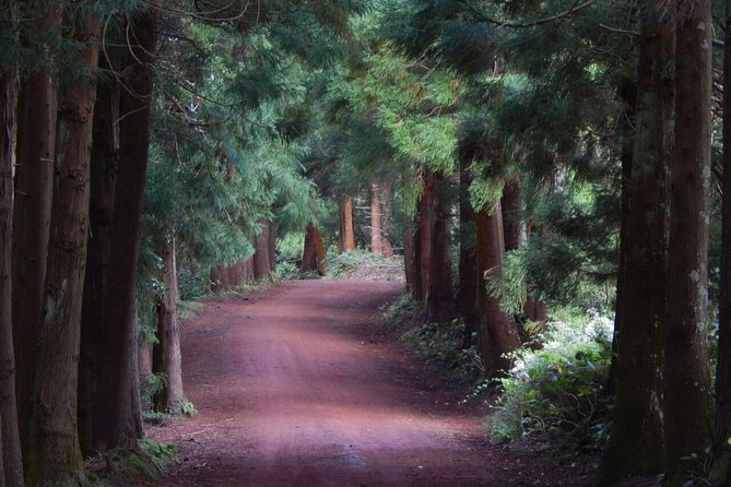 Half Day Terceira Island Tour by 4x4 - Historical and Cultural Insights