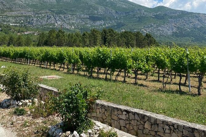 Half-Day Wine and Food Tasting From Dubrovnik - Concerns and Criticisms