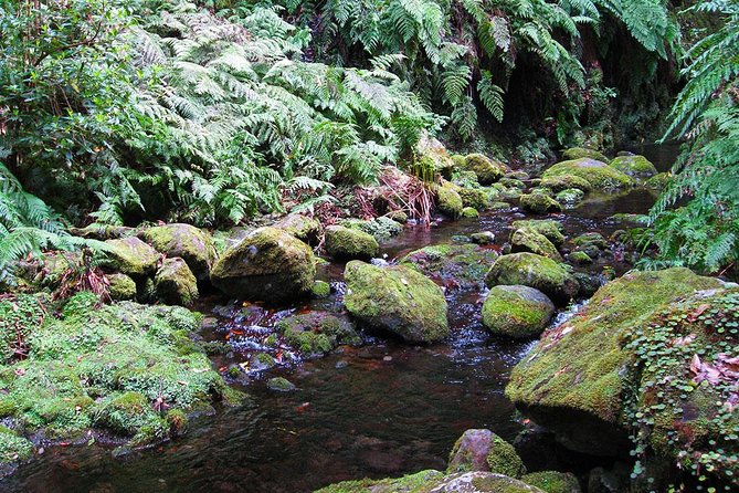 Hidden Corners: Levada Walk From Funchal - Suitability for First-Time Hikers