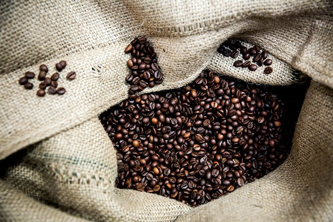 Hidden Flavors of the Hillside: Mouraria & Graça - Discovering the Graça District