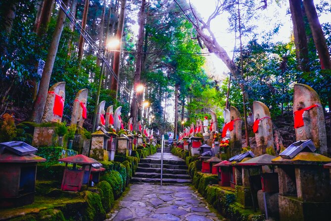 Hidden Gems of Osaka Kyoto Nara - Private Car Tour by Local Guide - Guide Daiki and His Engaging Approach