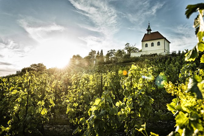 Hidden Vineyards and Private Winery Tour Review - Personalized Attention From Knowledgeable Guides