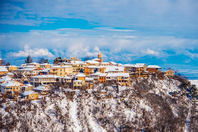Highlights of Kakheti Region-Signagi,Bodbe,Wine Tasting(Private Tour) - Wine Tasting at KTW Factory