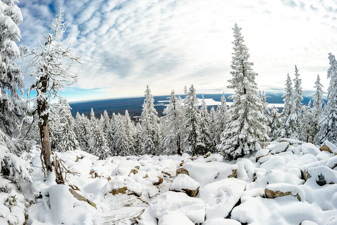 Hike to Frozen Waterfalls of Korouoma Including BBQ Lunch From Rovaniemi - Customer Reviews and Feedback Highlights