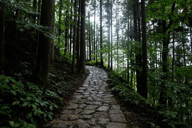 Hiking the Historic Nakasendo Trail- 1 Day Tour From Nagoya - Exploring the Historic Nakasendo Trail