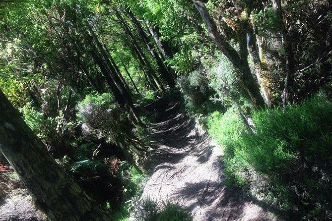 Hiking Trail Rocha Do Chambre | Terceira Island - Reviews