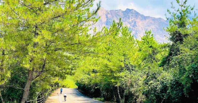 Historical Hill Climb E-bike Tour to Sakurajimas Peak - Getting to the Meeting Point