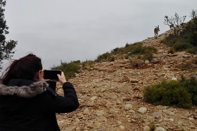 Historical Montserrat Half-Day Hiking Tour From Barcelona - Meeting Point and Transportation Details