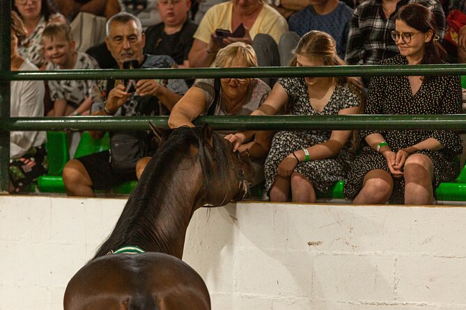 Horse and Flamenco Show in Malaga With Dinner - Meeting and Pickup Information