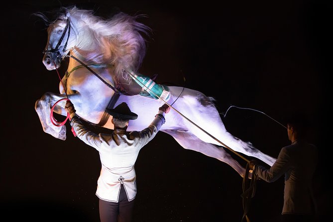 Horse and Flamenco Show in Malaga - Booking and Pricing Details