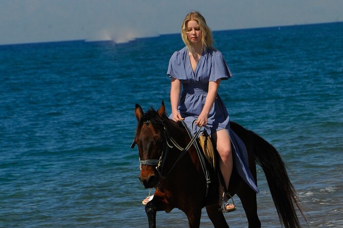 Horseback Riding by Beach or Forest in Manavgat Side - Review Highlights