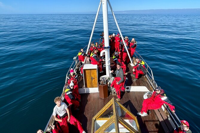 Húsavík Whale Watching Tour Review - Customer Reviews and Ratings