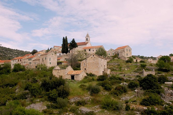 Hvar Lavender Tour - Exploring the Lavender Fields
