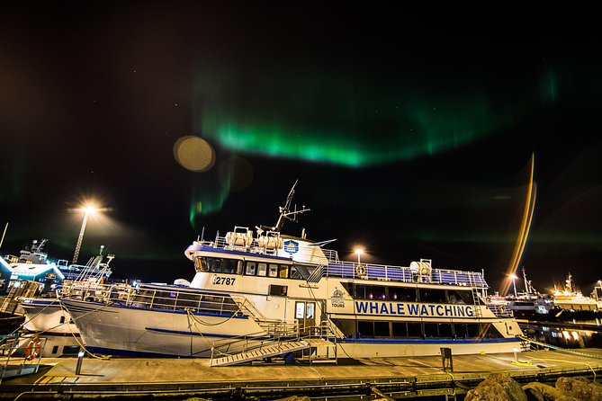 Iceland Super Saver: Northern Lights Cruise Plus Whale-Watching Tour From Reykjavik - Navigating the Seas: Tips for a Comfortable Journey