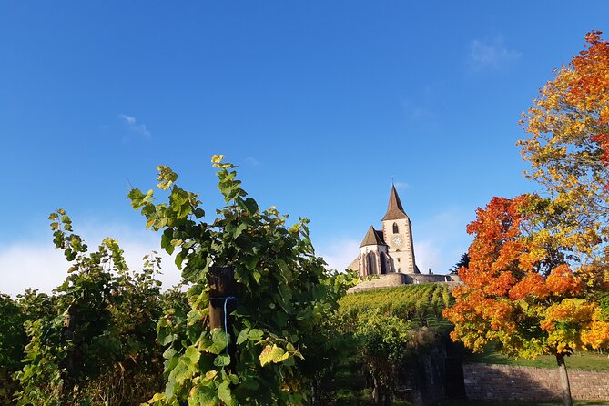 ICONICS Tour: 1/2 Day on the Wine Route, Visit of 2 Villages + Tasting. - Meeting Fellow Wine Enthusiasts