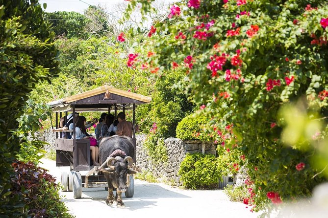 Ishigaki Phantom Island Snorkeling Taketomi Island Sightseeing - Participant Information