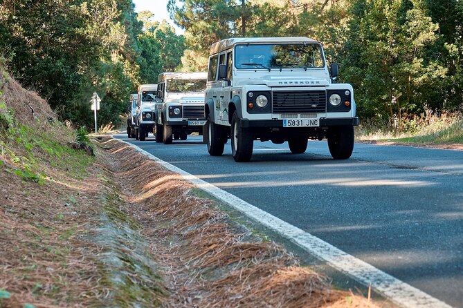 Jeep Safari at Half Day Teide - Safety and Accessibility Considerations