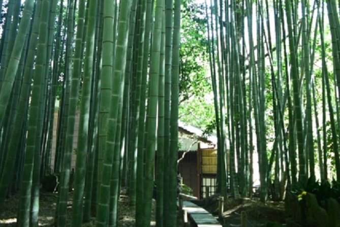 Kamakura Private Tour by Public Transportation - Meeting and Pickup Details