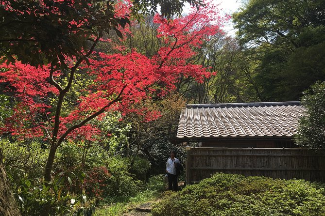 Kamakura Private Walking Tour - Discovering Komachi Dori