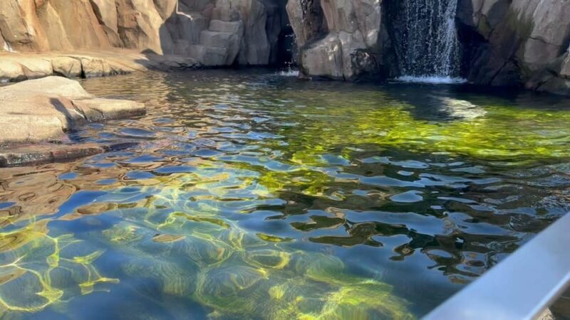 Kansai 10-Hour Chartered Day Trip｜ Kobe - Recommended Route