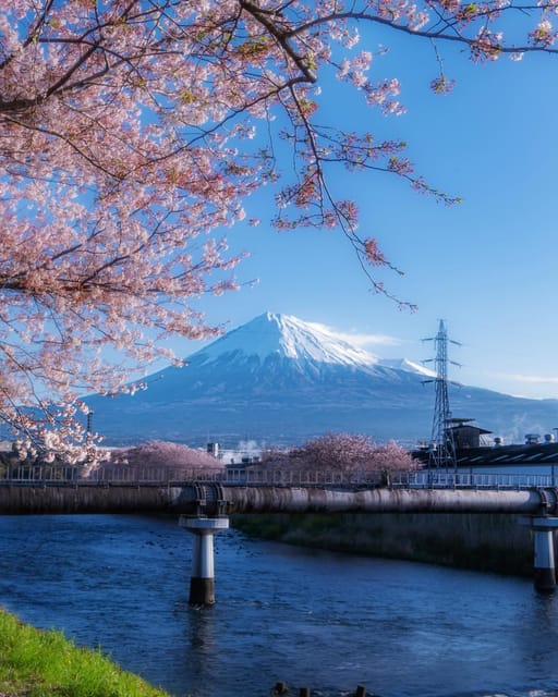 Kanto 10-Hour Chartered Day Trip｜Mt. Fuji Day Trip - Child Safety and Important Information