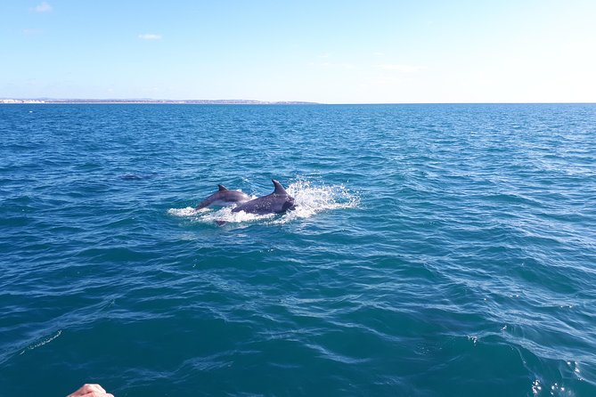 Kayak Algarve Tour BENAGIL by Diamond Tours - Physical Restrictions and Suitability