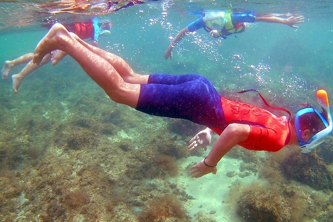 Kayak Excursion in Playa De Aro - Accessibility and Recommendations