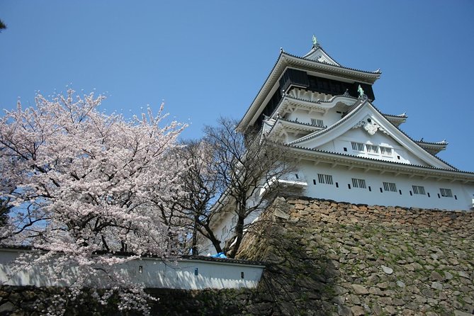 Kitakyushu Full-Day Private Trip With Government-Licensed Guide - Common Questions