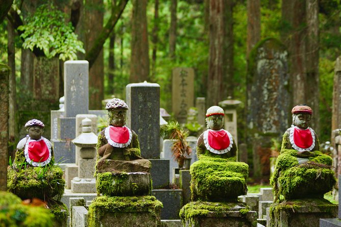 Koyasan Full-Day Private Tour - Danjo Garan