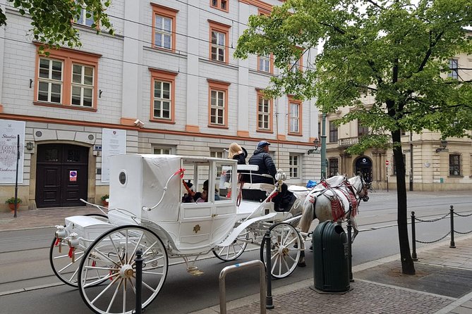 Krakow Private Walking Tour - What to Expect During the Tour
