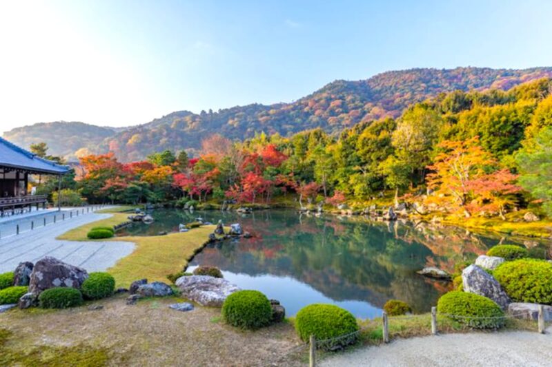 Kyoto: Arashiyama Bamboo, Temple, Matcha, Monkeys, & Secrets - Encountering the Playful Iwatayama Monkeys