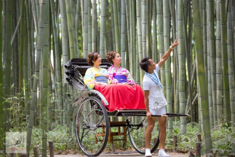 Kyoto: Arashiyama Customized Rickshaw Tour & Bamboo Forest - Visiting Unique Temples and Gardens