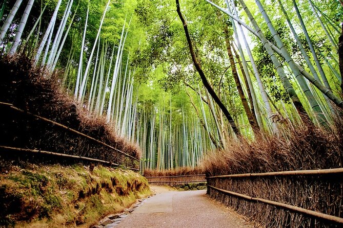 Kyoto Arashiyama Walking Tour - Bamboo, Monkeys, Temple & Secrets - Encountering the Friendly Monkeys