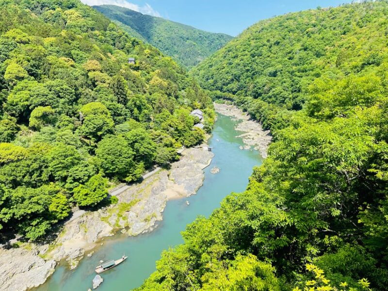 Kyoto Day Tour With Certified Tour Guide & Luxury Vehicle - Customer Feedback