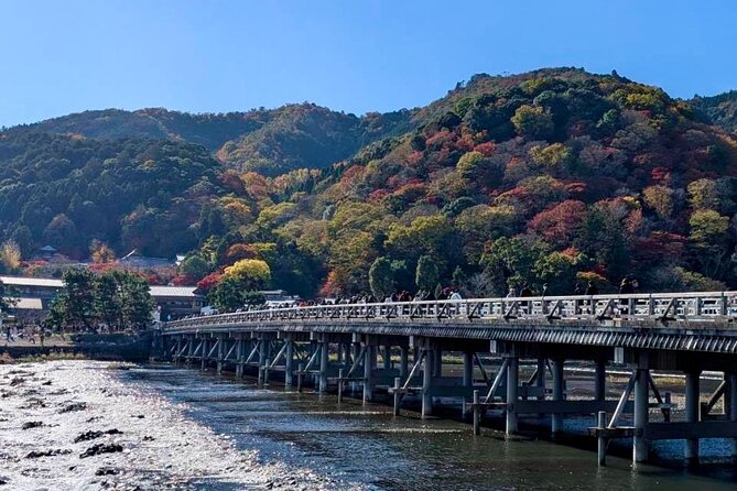 Kyoto Early Morning Walking Tour: Nature & History - Transportation and Meeting Point