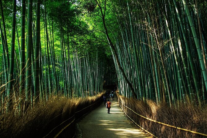 Kyoto: Flexible 3 Hours Tour With a Local Guide - Personalized Guidance and Support