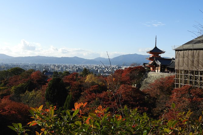 Kyoto Full Day (8 Hours) Ultimate Sightseeing Private Tour - Guide Performance and Feedback