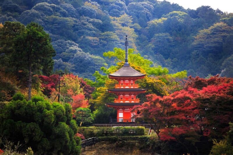 Kyoto & Nara Private Customized, Guided Tour - Frequently Asked Questions