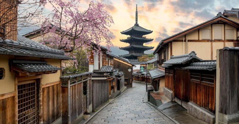 Kyoto/Osaka: Kyoto and Nara Customized Private Guided Tour - Exploring the Arashiyama Bamboo Forest