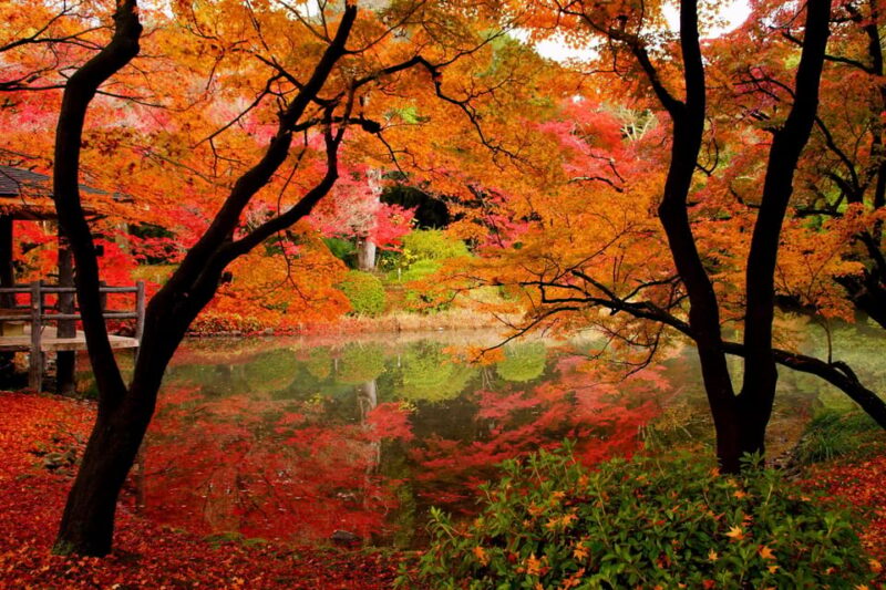 Kyoto: Private Full-Day Customizable World Heritage Tour - Important Information
