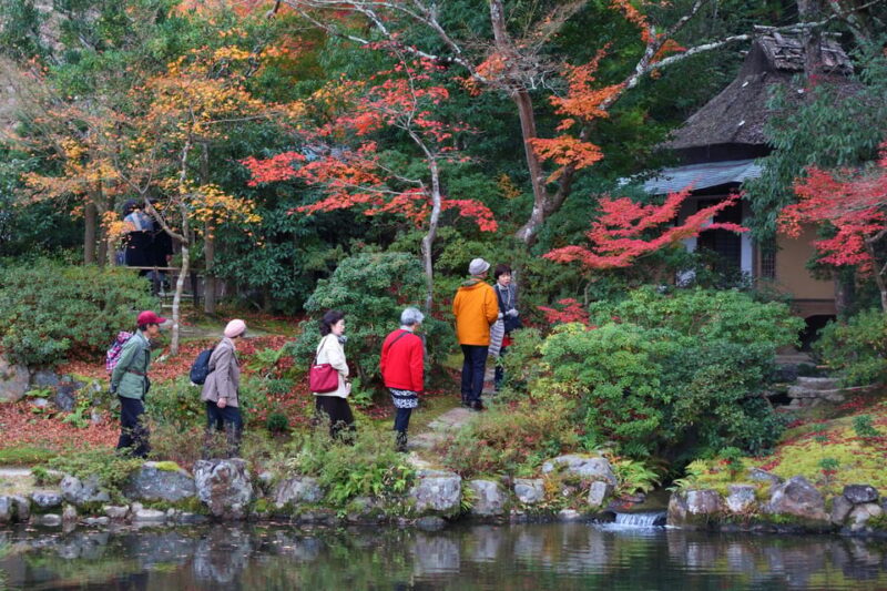 Kyoto to Nara: Private Day Trip With a Local - Important Information