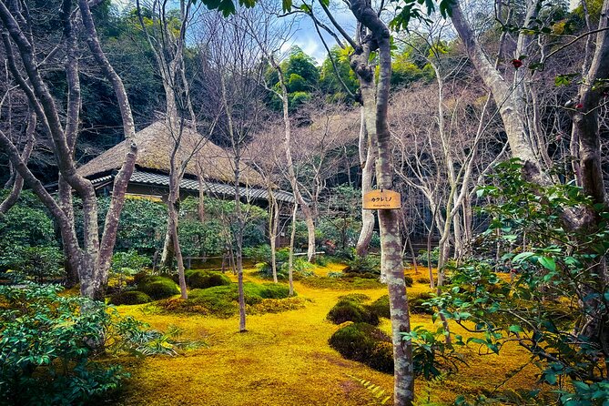 Kyoto Tour by Private Van - Private Bamboos & Fushimi Red Gates - Customer Reviews