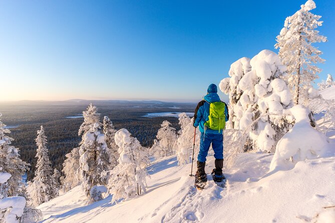 Lapland Winter Experience - Exploring Laplands Enchanting Landscapes