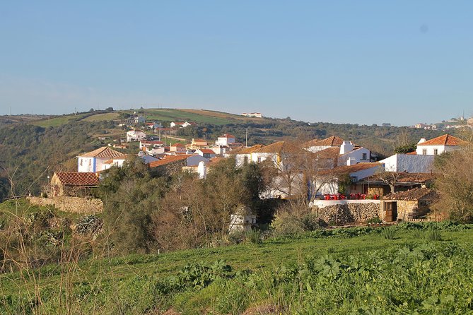 Lisbon Southern Region (Fernão Pó) Wine Tasting Private Tour - Exploring Cheleiros and Bucelas