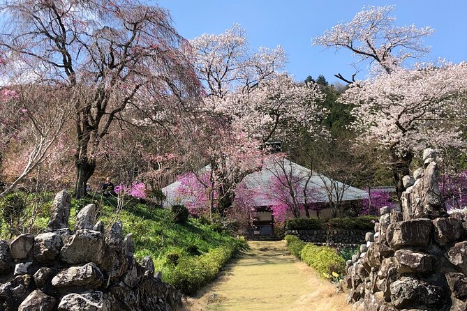 Little Adventure With Cycling in Tokyo No. 1 Crystal Clear River - The Cycling Experience