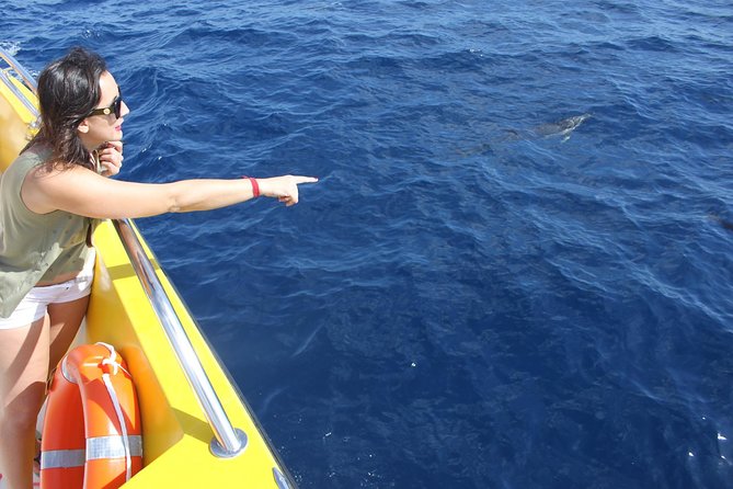 Lobos Island - the Dolphin Route - Hotel Pickup and Meeting Point