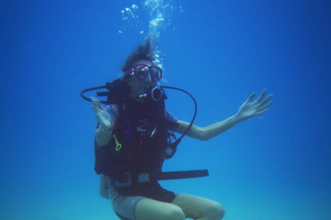 Local Guided Dives (For Certified/Licensed Divers) - Accessibility and Participation