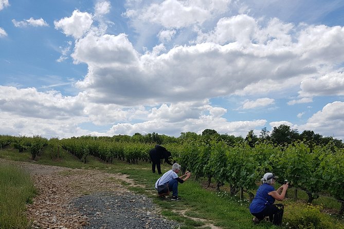 Loire Valley Half Day Wine Tour From Tours : Vouvray Wine Tasting - Transportation and Tour Logistics