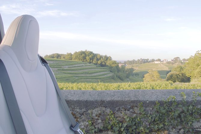Luxurious Full Day Bordeaux Wine Tour in a Tesla - Exploring the Bordeaux Wine Region
