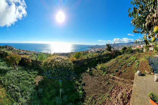 Madeira Genuíne Food Experience at Re-Canto - Authentic Madeiran Cuisine